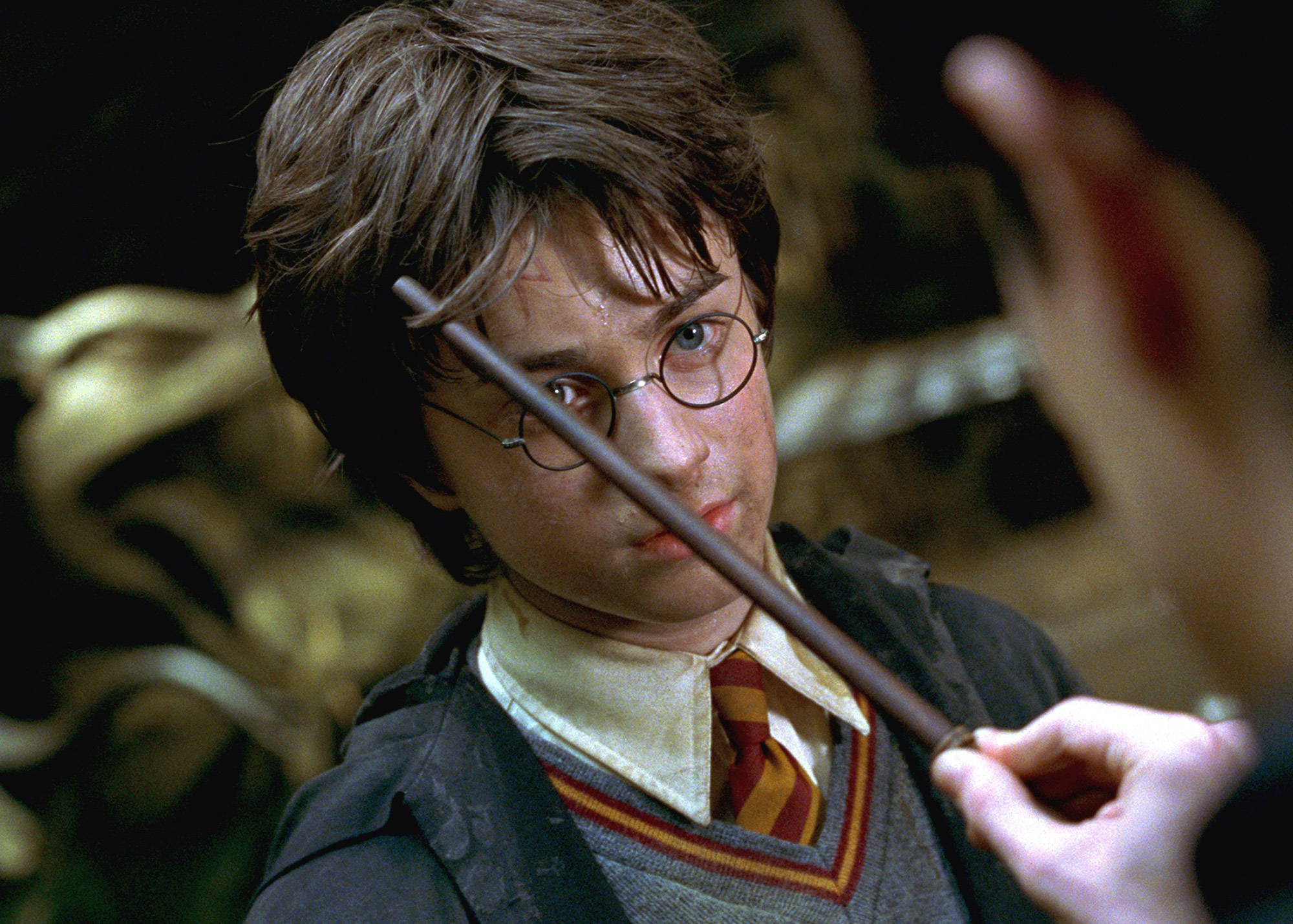 Harry Potter and the Chamber of Secrets - Regnier Extreme Screen Theatre